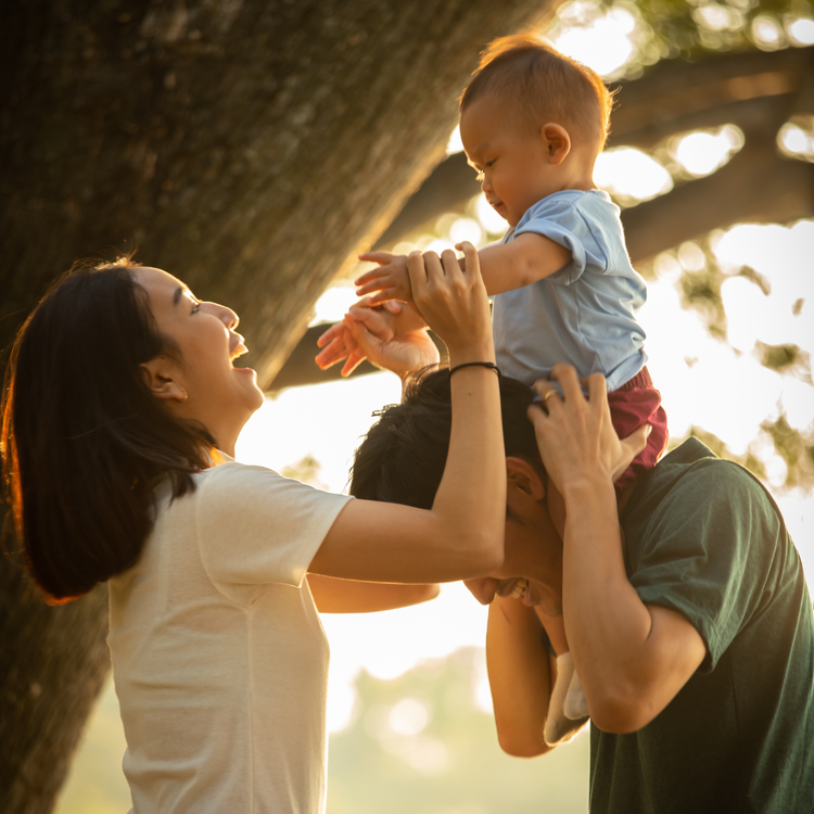 ไลฟ์วัน ชยางกูร-ขามใหญ่ - Life One โครงการบ้านอุบล | NaYoo