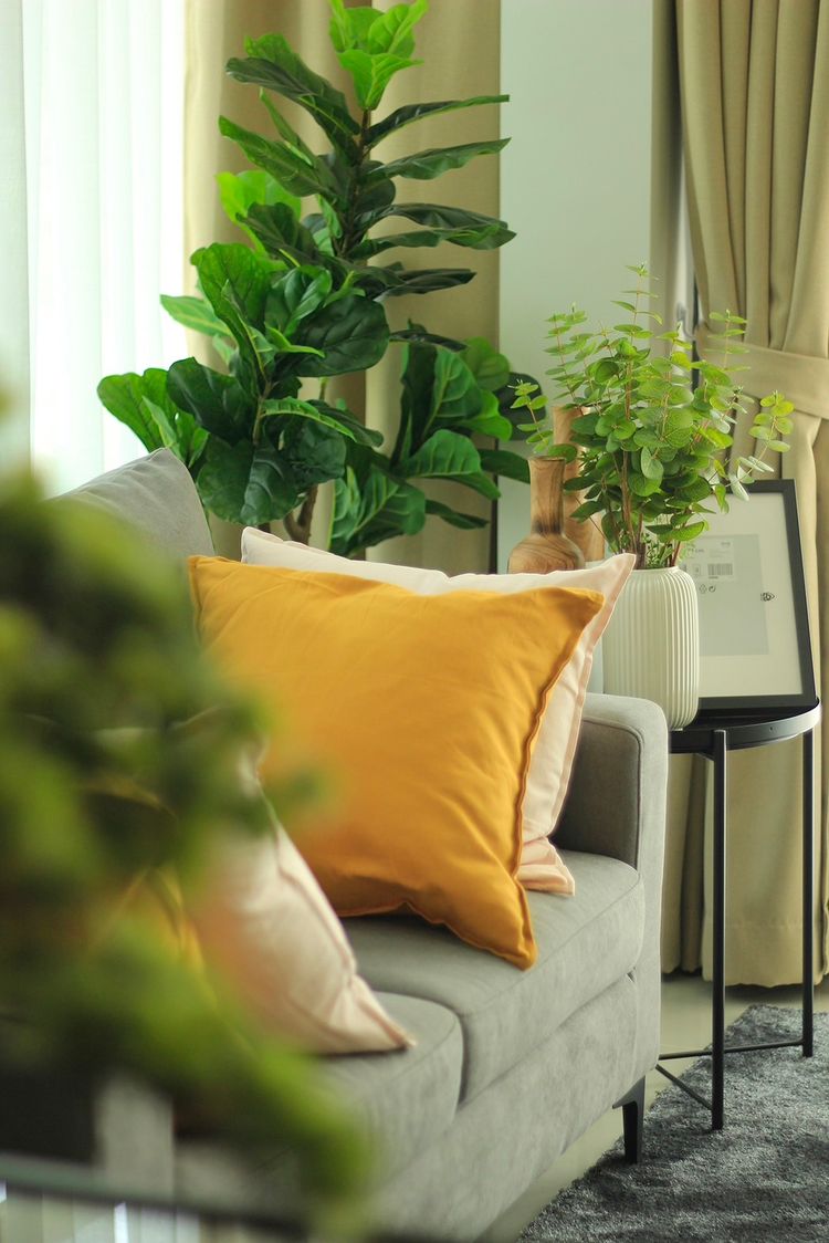 เซนบุระ - ZENBURA โครงการบ้านระยอง | NaYoo