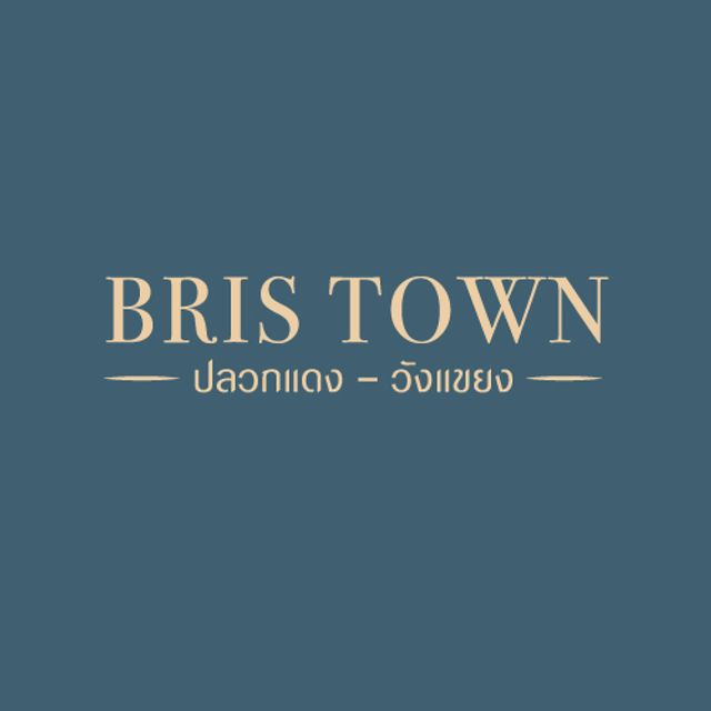 บริสทาวน์ (ปลวกแดง-วังแขยง) - Bris Town โครงการบ้านระยอง | NaYoo
