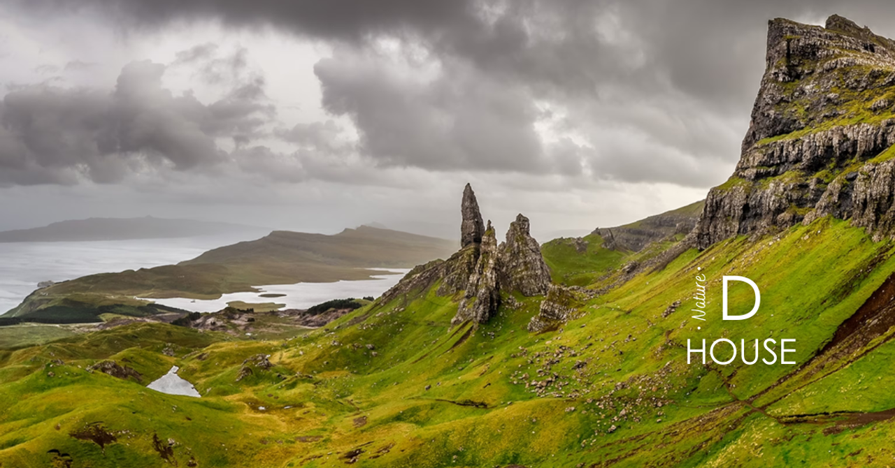 ดี เฮาส์ - D House โครงการบ้านบุรีรัมย์ | NaYoo